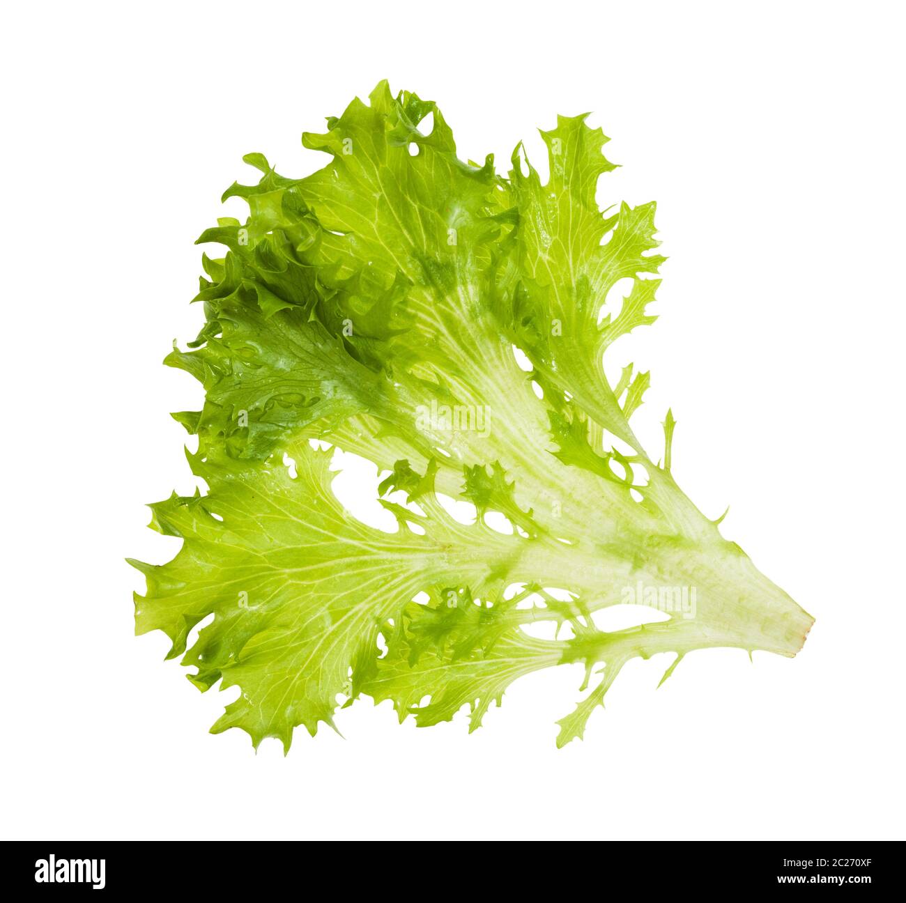 fresh green leaves of Ice lettuce isolated on white background Stock ...