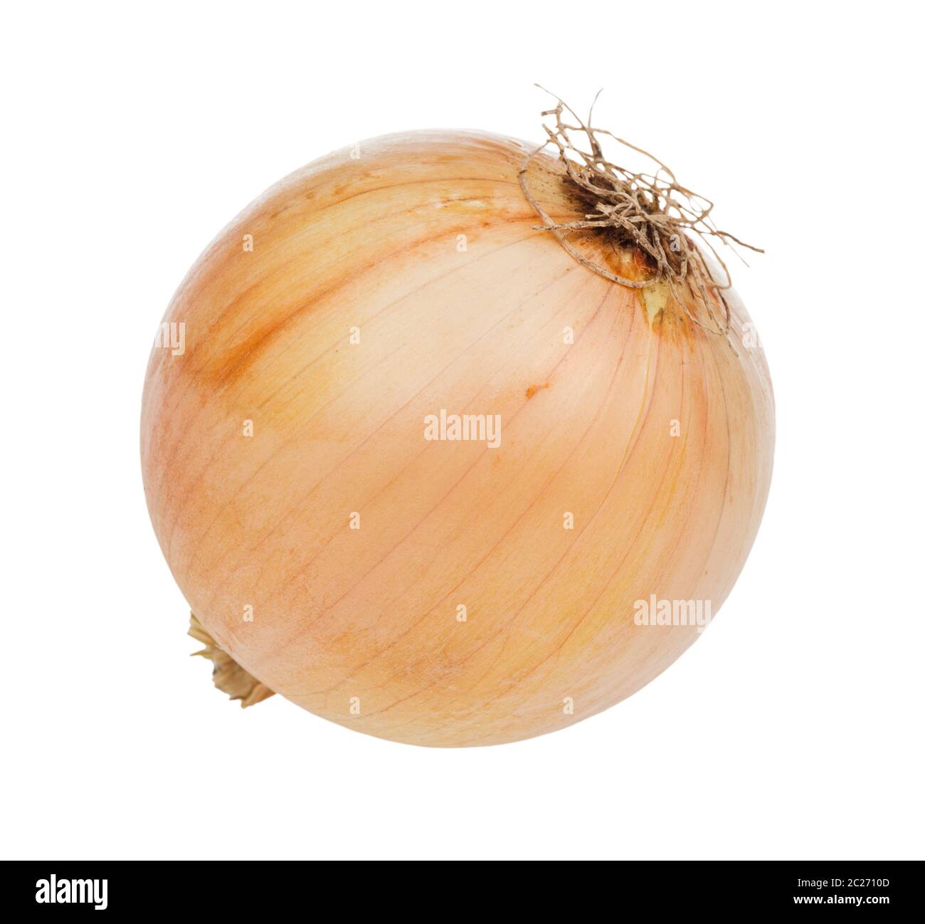 bulb of common onion isolated on white background Stock Photo - Alamy
