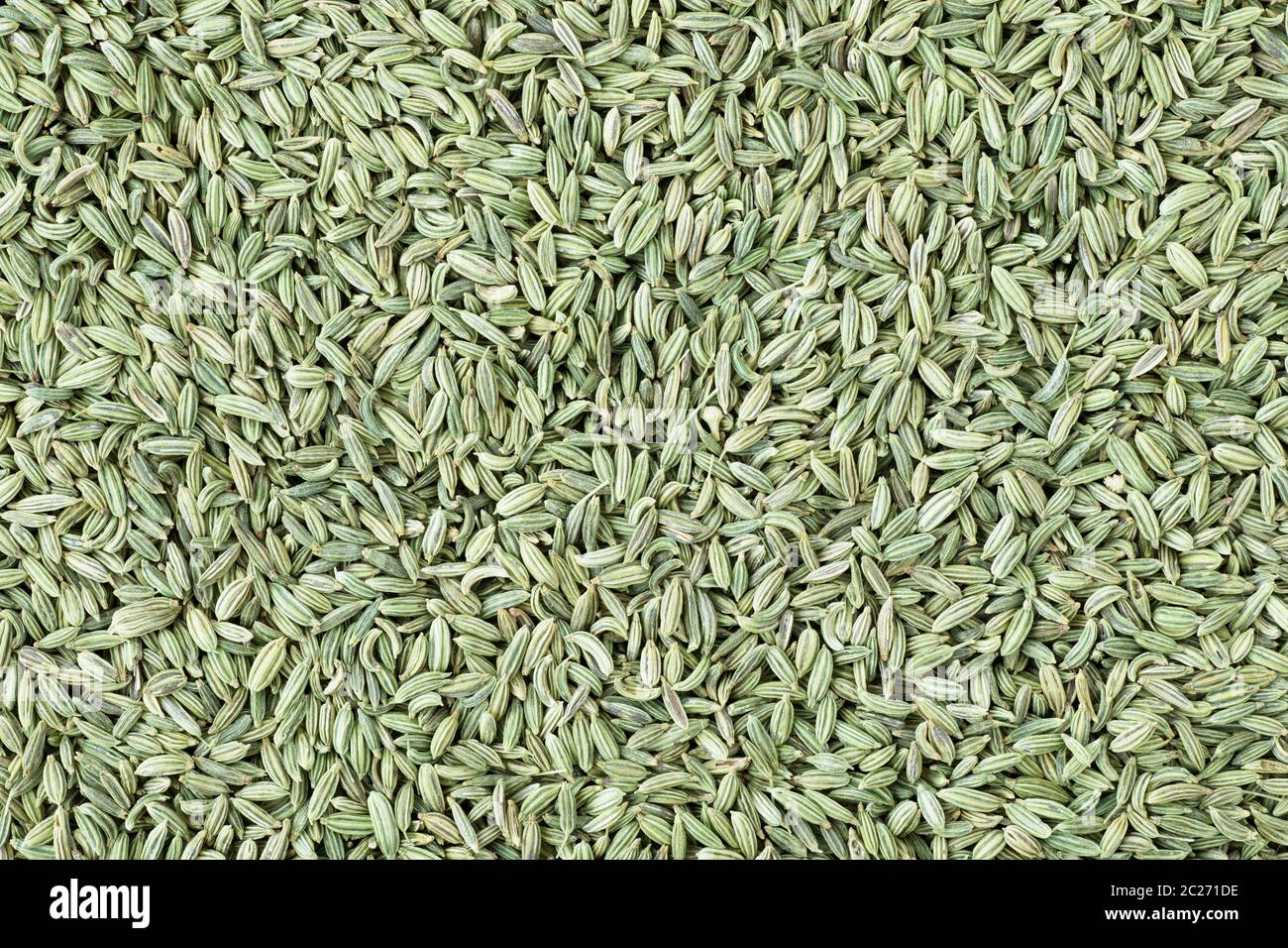 Fennel seeds filling full frame for food background or texture Stock ...
