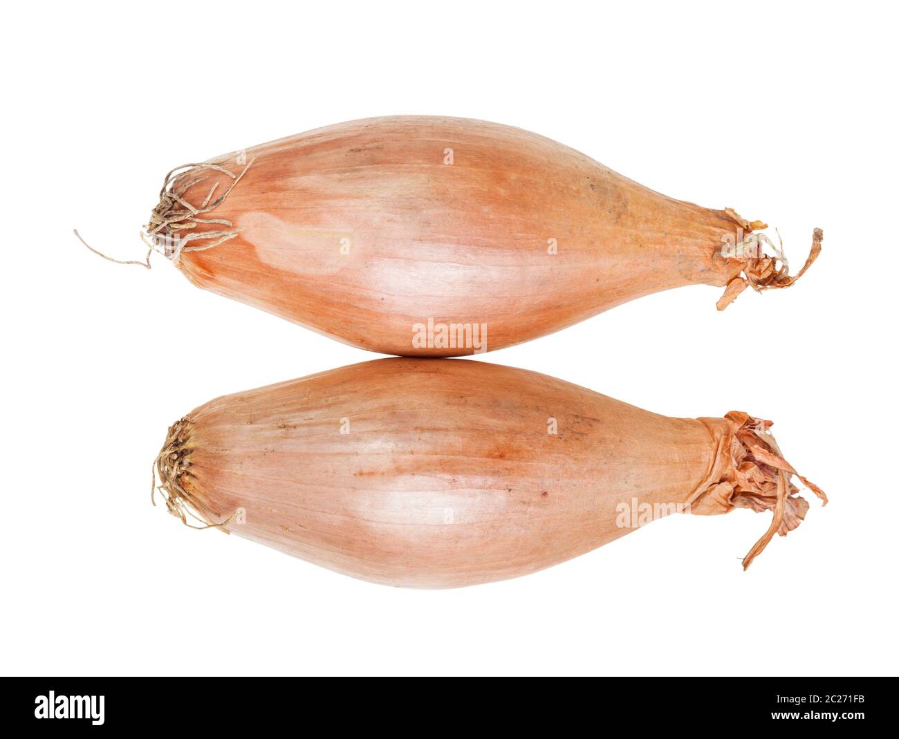 top view of two bulbs of shallot onion isolated on white background ...