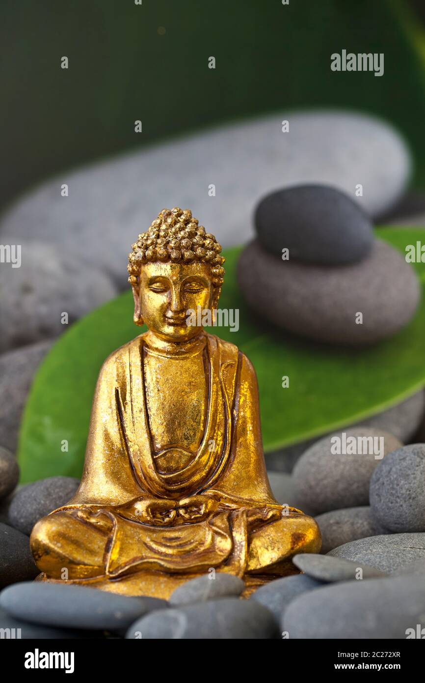 golden buddha statue still life with pebble and green leaf Stock Photo ...