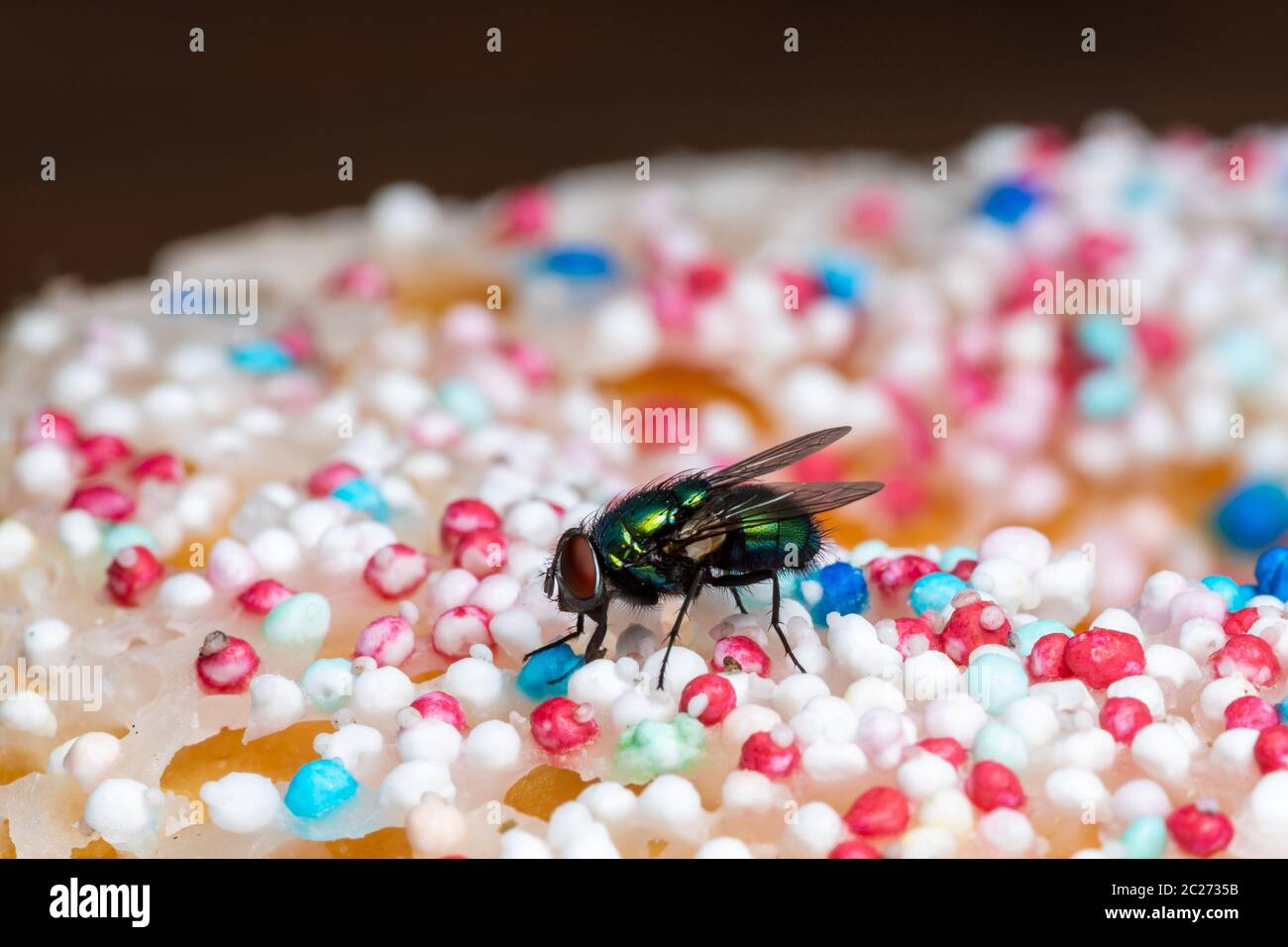 Fly on food hi-res stock photography and images - Alamy