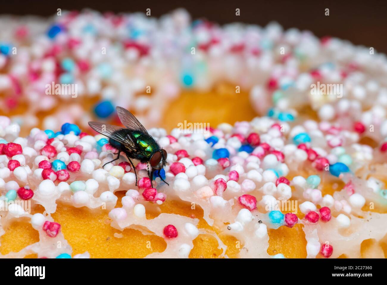 Fly on food hi-res stock photography and images - Alamy