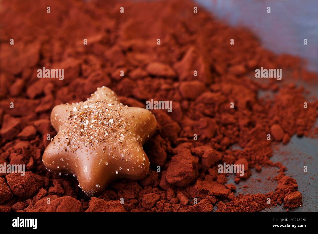 close up of delicious star shaped chocolate praline in cocoa powder ...