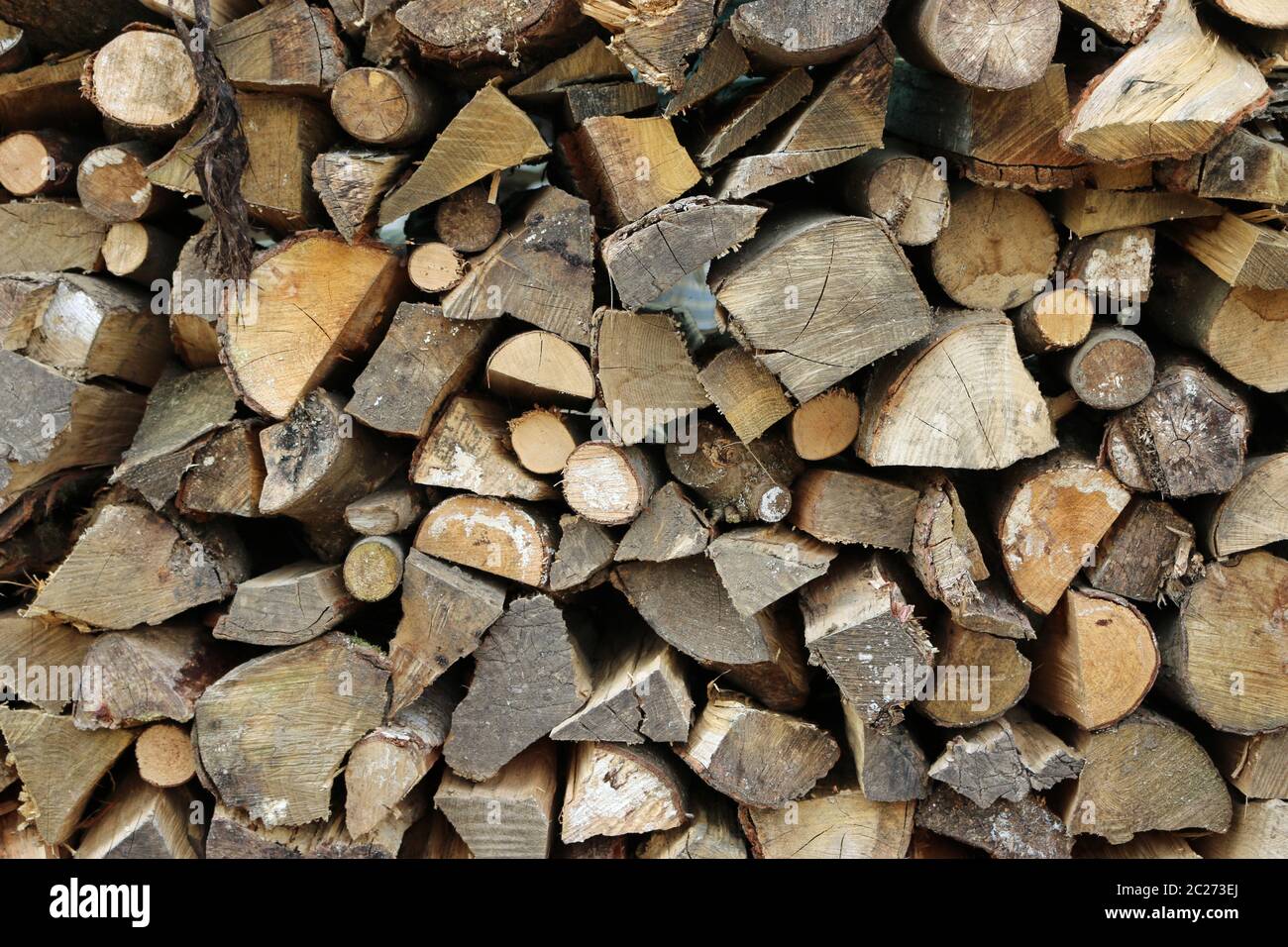 Split and round logs from a coppice woodland drying in a stack for ...
