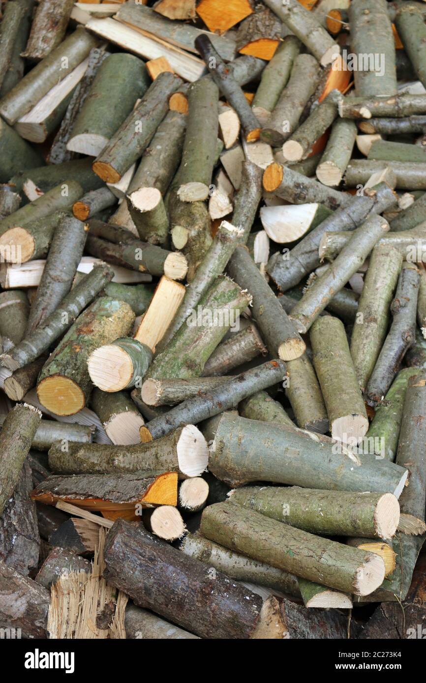 Split and round logs from a coppice woodland drying in a pile for ...