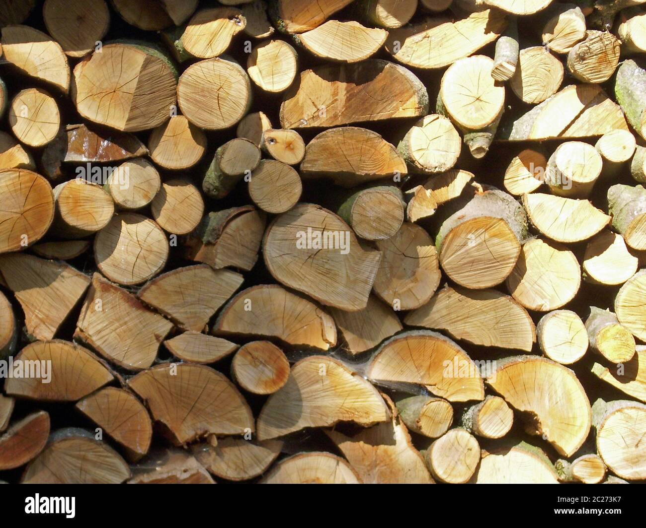 Split logs from a coppice drying in a stack and making an attractive ...