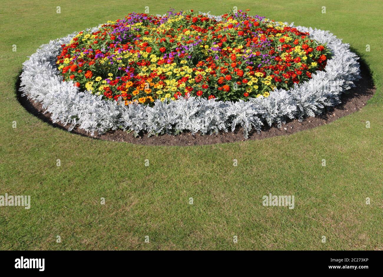 Round summer flower bedding display with neatly edged surrounding grass ...