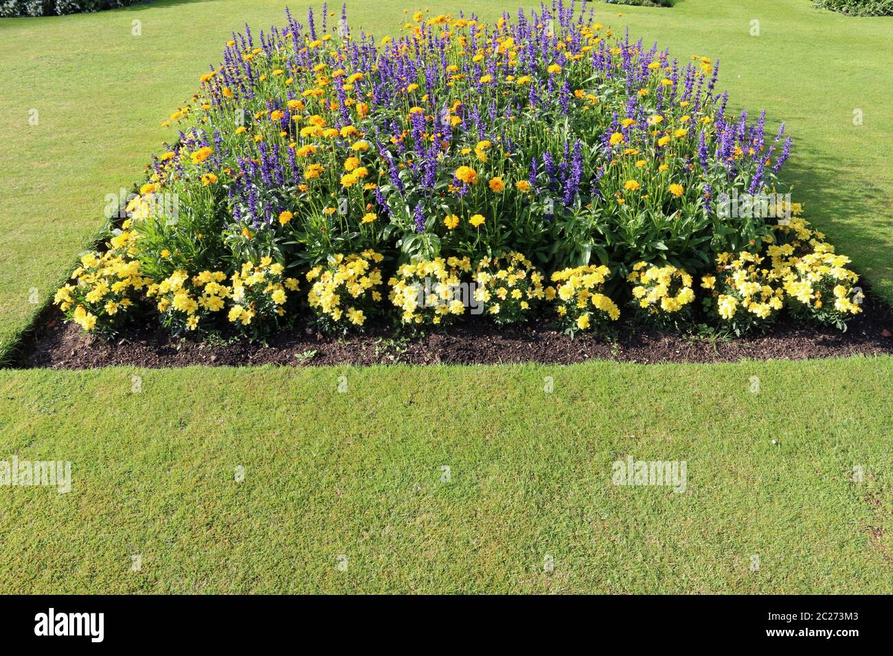 Square summer flower bedding display with neatly edged surrounding ...