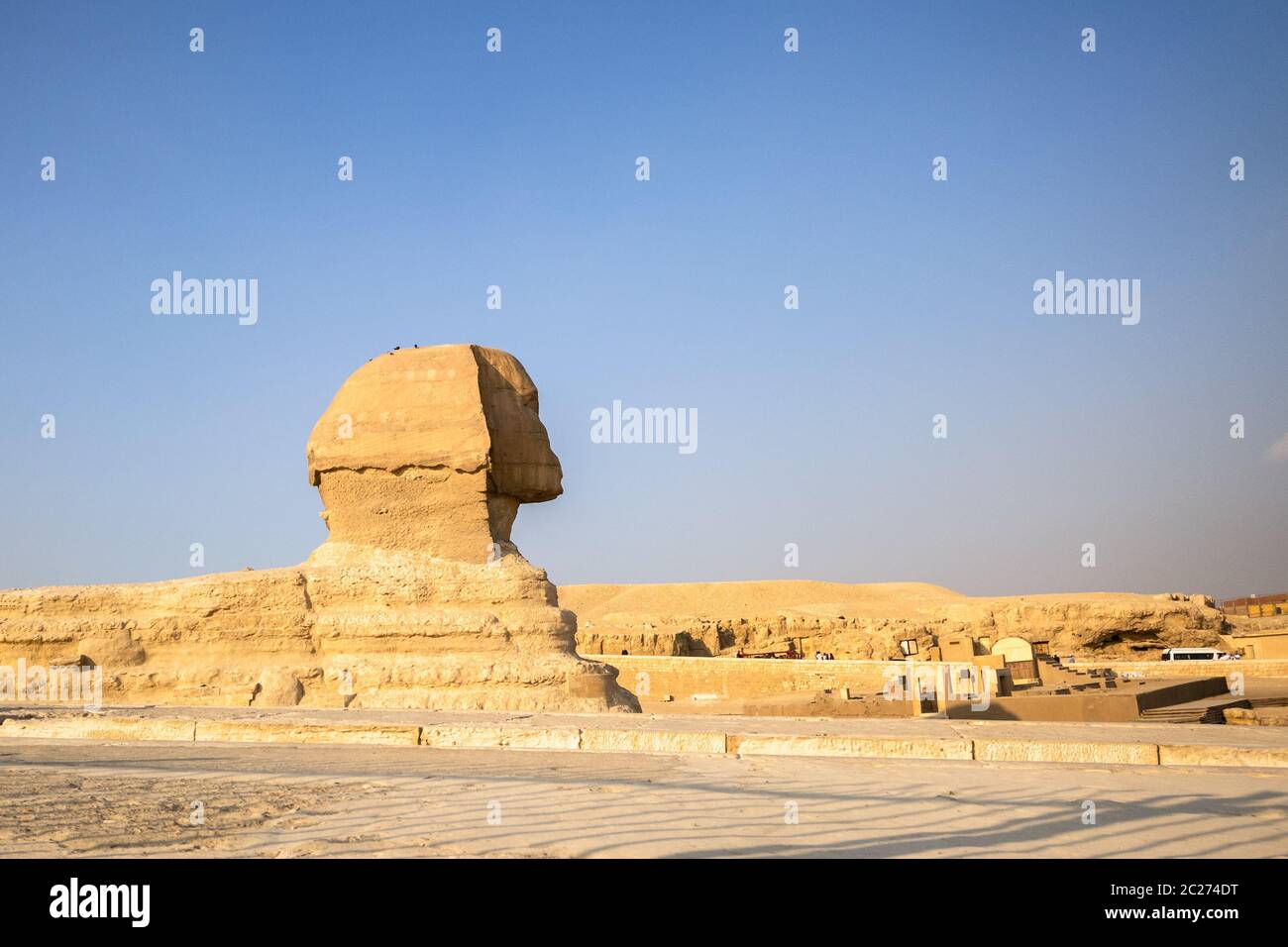 Sphinx at Giza Cairo Egypt Stock Photo - Alamy