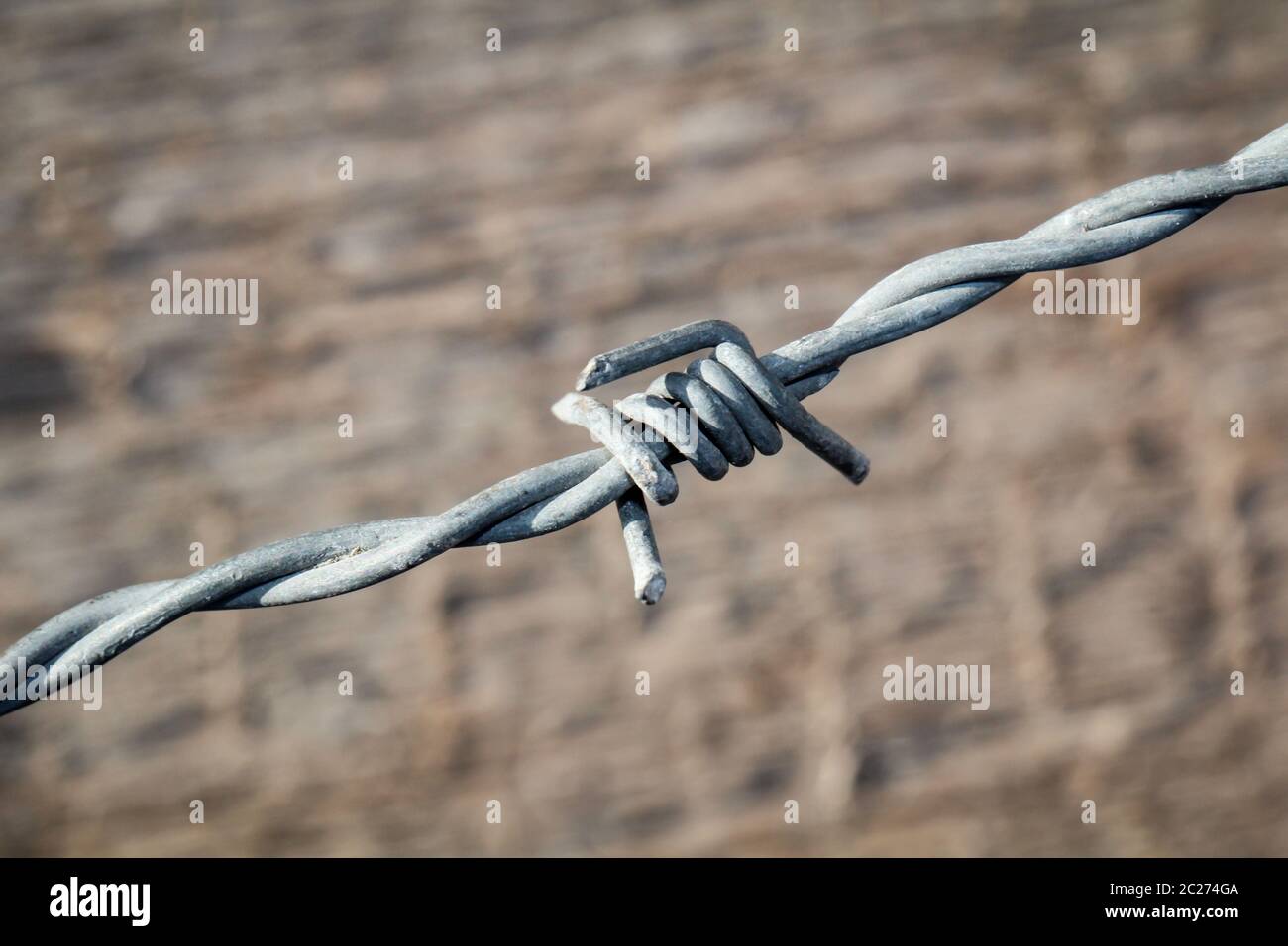 a detail of a barbed wire Stock Photo - Alamy
