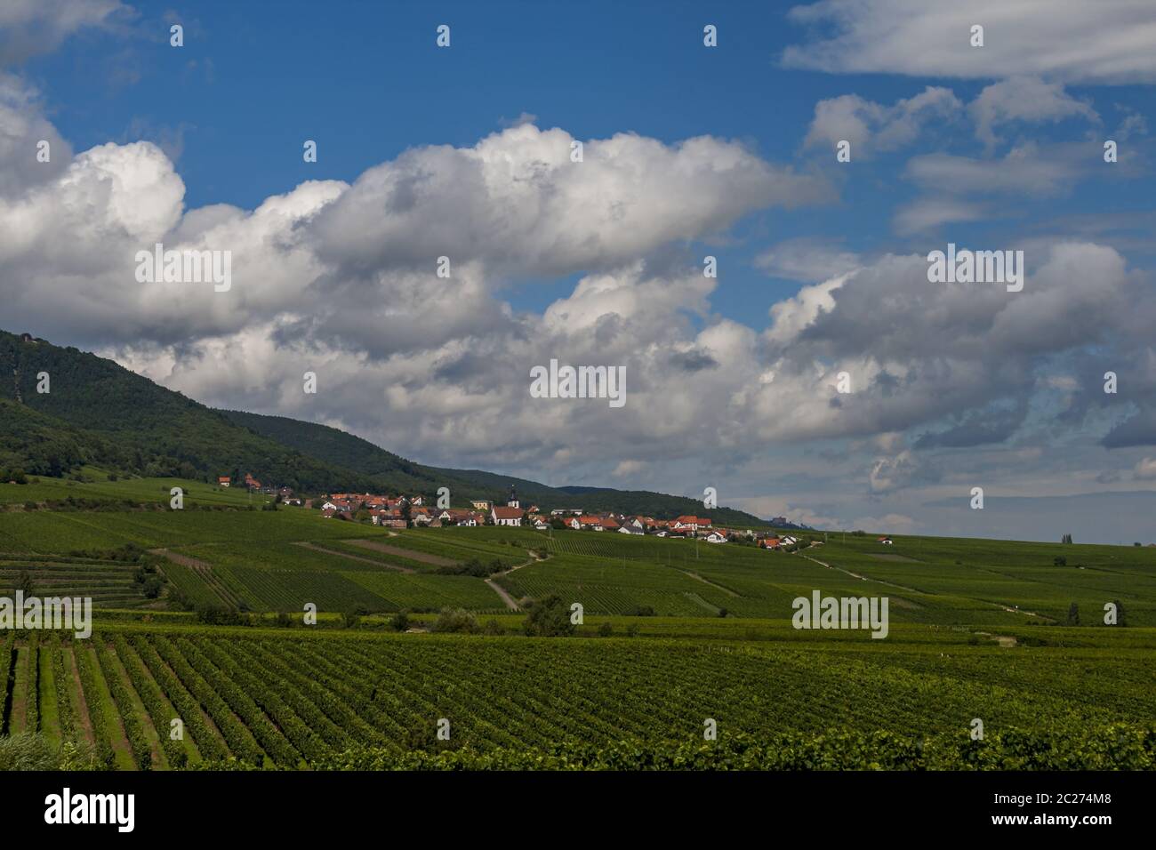 On the German Wine Route Stock Photo - Alamy