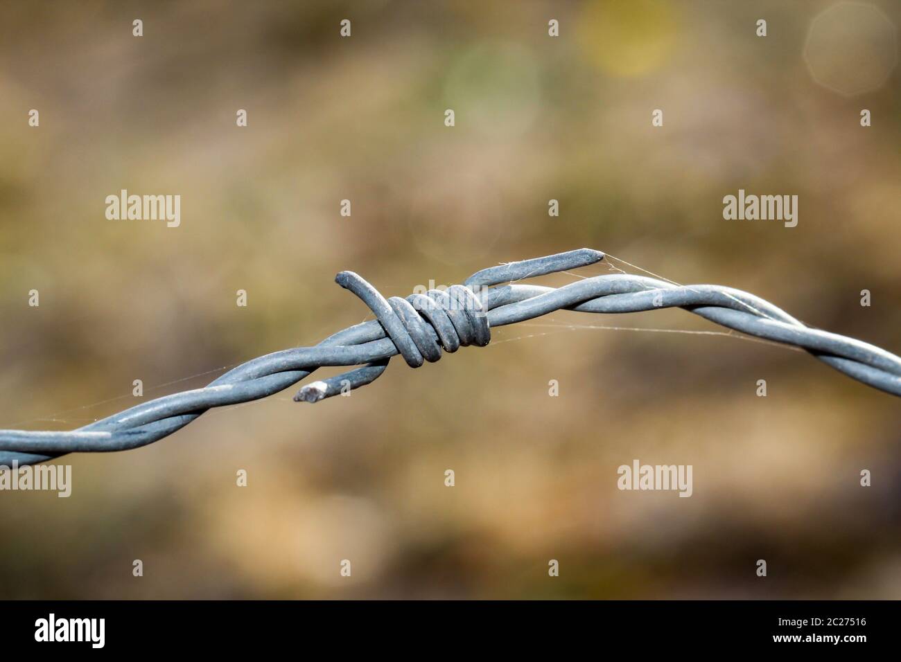 a detail of a barbed wire Stock Photo - Alamy