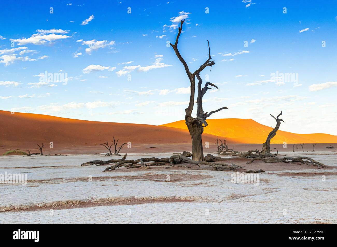 Deadvlei in Namib-Naukluft National Park of Namibia Stock Photo - Alamy