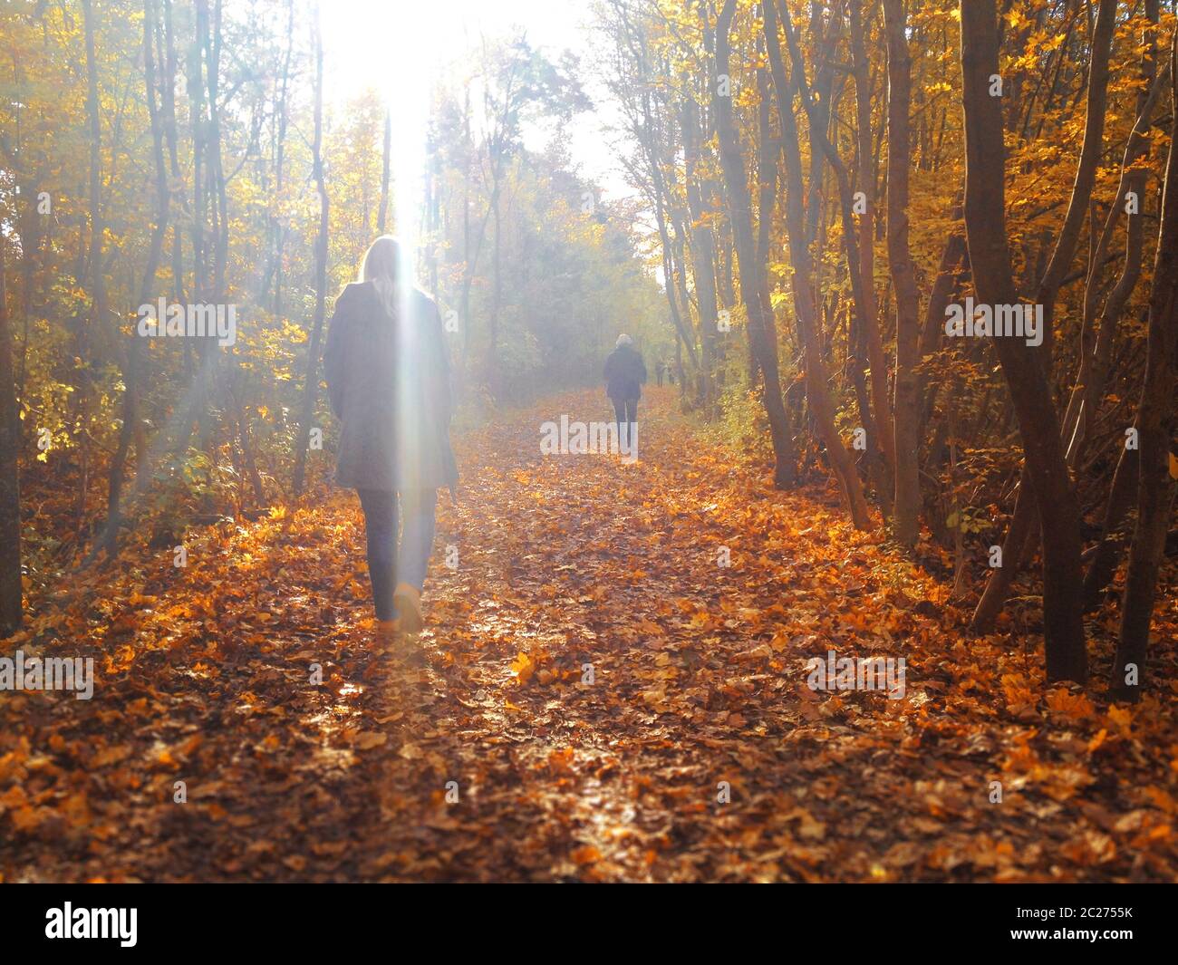 Autumn outdoor landscape scene. Environment Stock Photo - Alamy