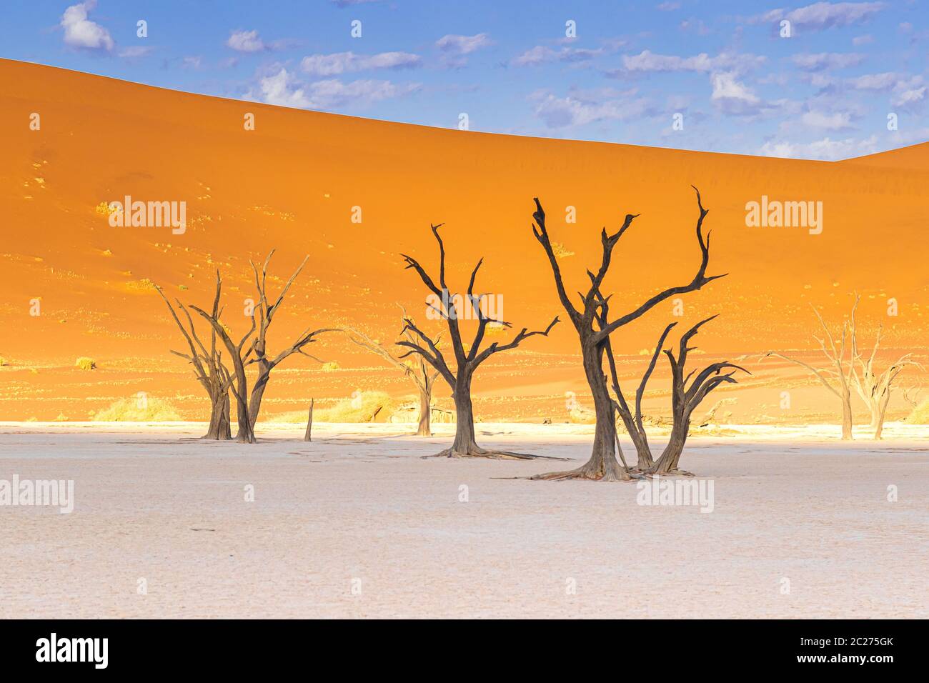 Major visitor attractions of namibia hi-res stock photography and ...