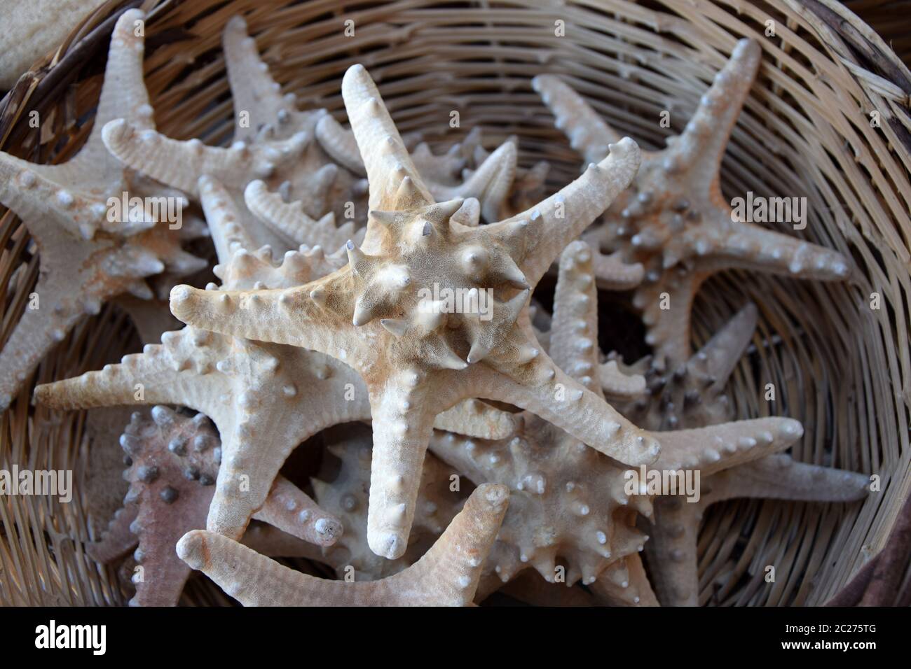 Starfish Dried High Resolution Stock Photography and Images - Alamy