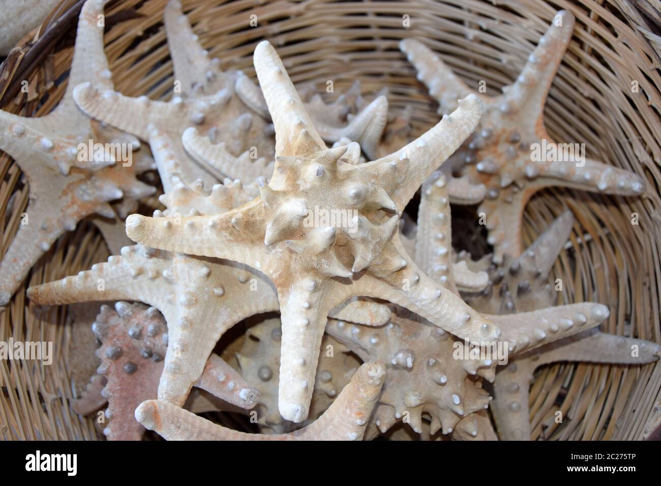Starfish dried hi-res stock photography and images - Alamy