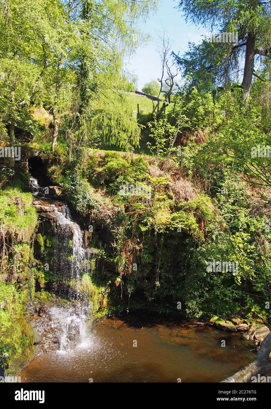lumb hole falls a waterfall in woodland at crimsworth dean near pecket ...