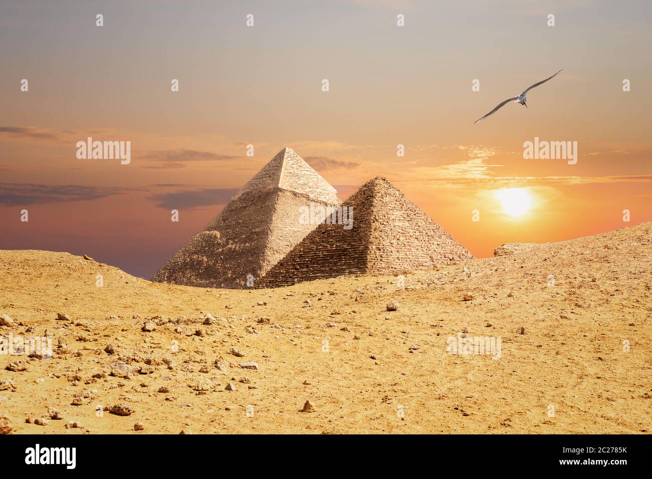 The Pyramids of Giza, view from the sand-dune Stock Photo - Alamy