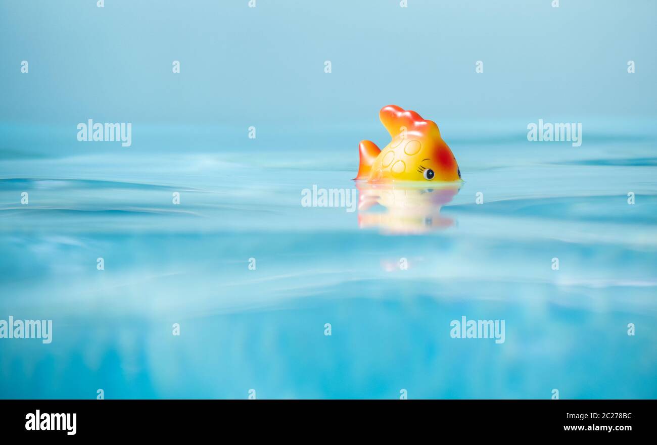 Cute toy Fish taking bath in swimming pool, shallow depth of field ...