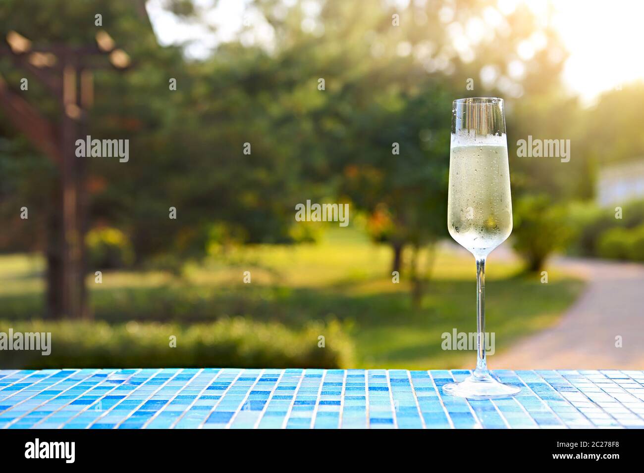 Elegant flute glass of sparkling white wine or champagne by side of ...