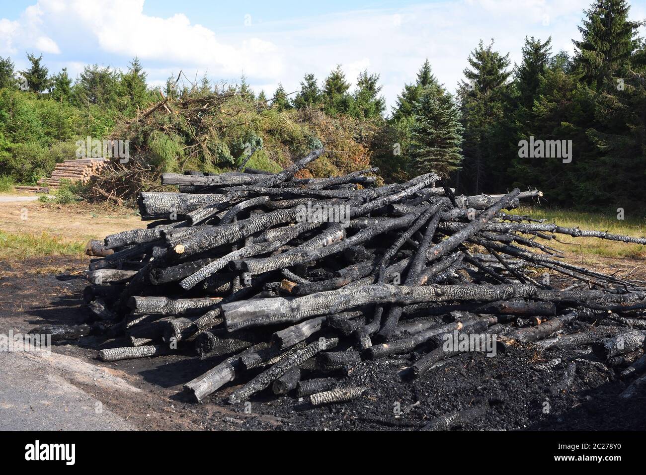 Arson on a forest edge Stock Photo - Alamy