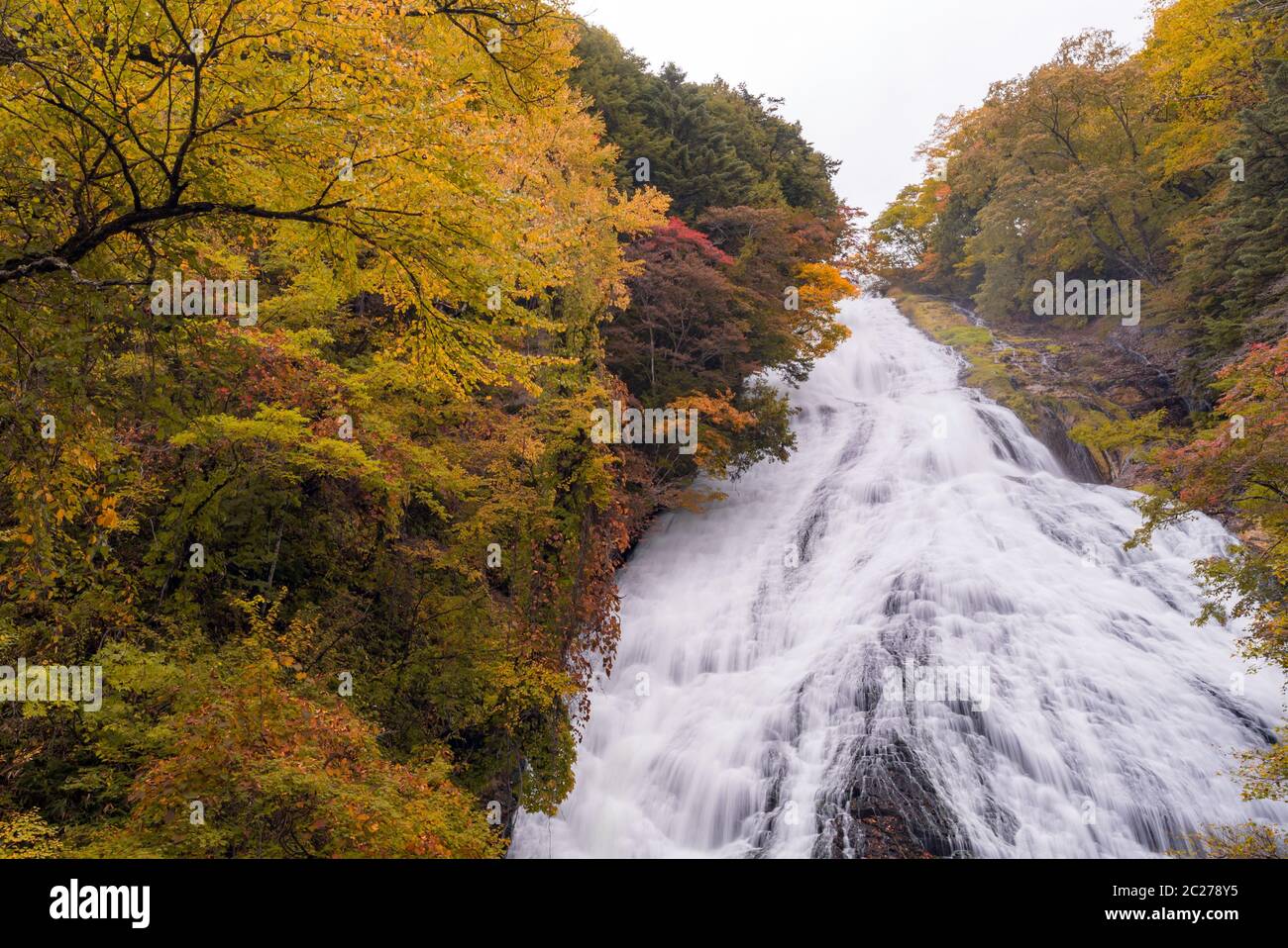 Autumn fall forest at Yudaki Falls at Nikko Tochigi Japan Stock Photo ...