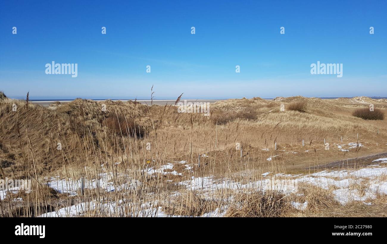 Dunes at the north sea Stock Photo - Alamy