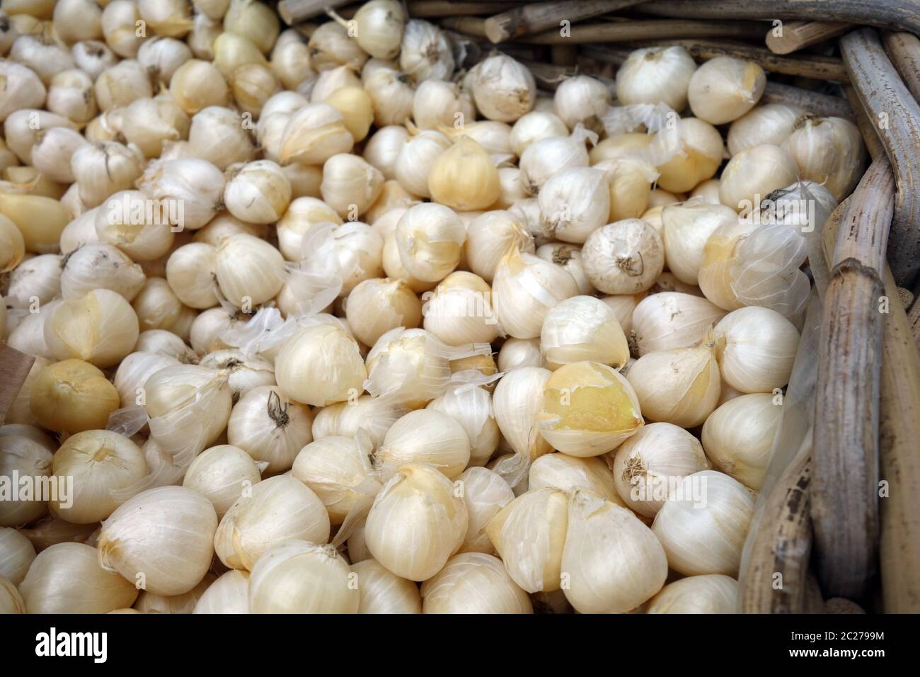 Tubers bulbs hi-res stock photography and images - Alamy