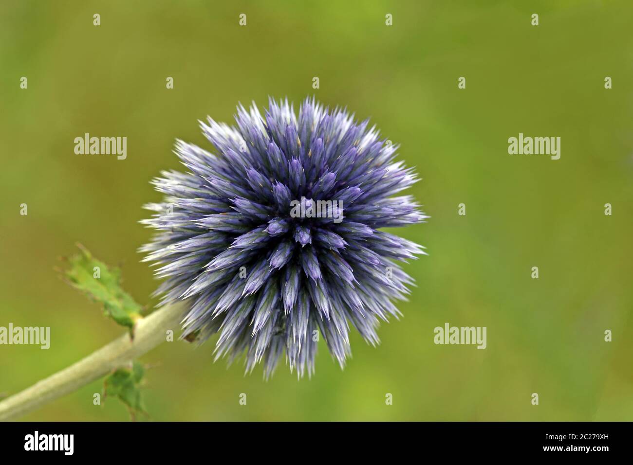 Rito hi-res stock photography and images - Alamy