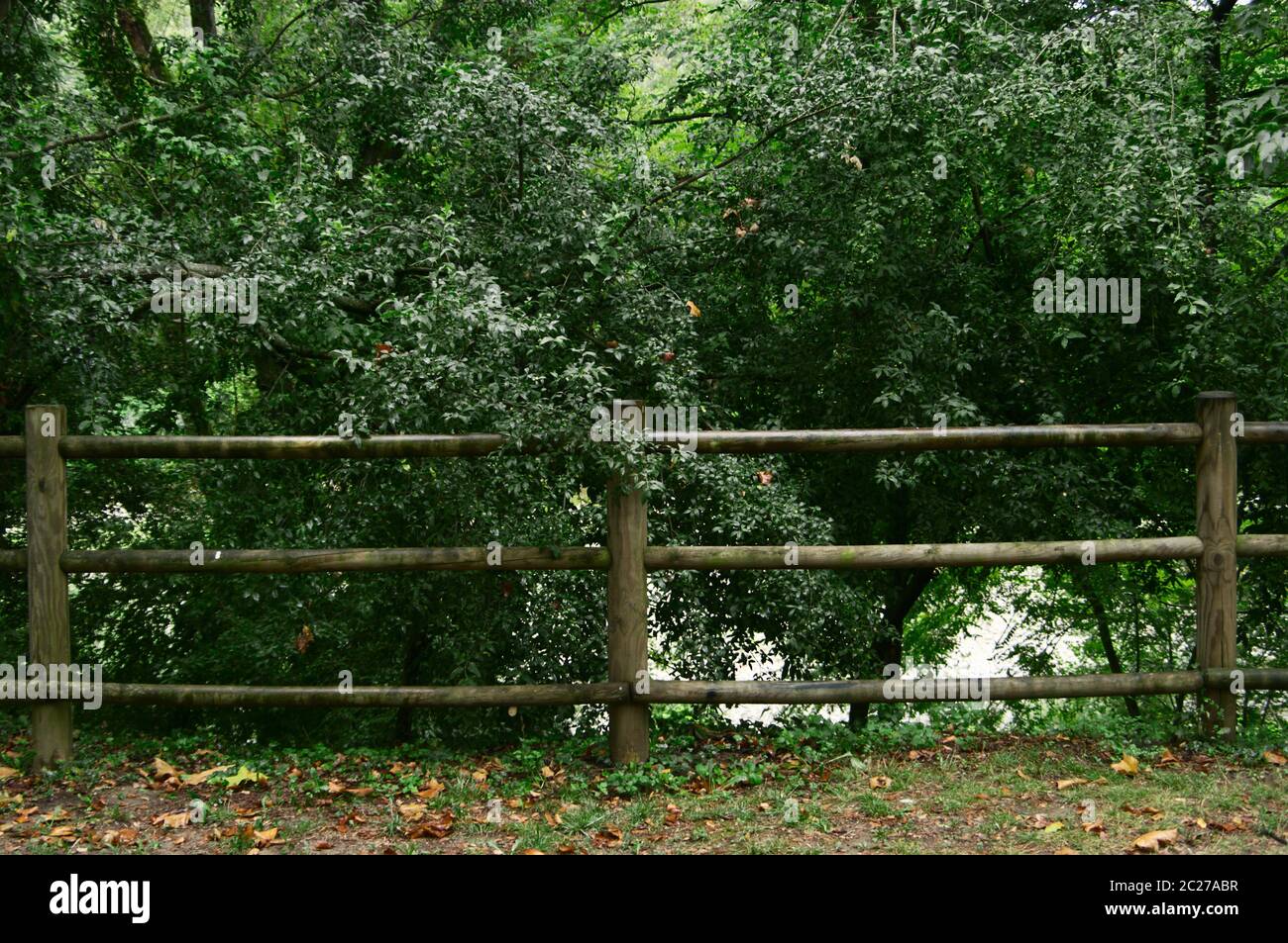 Beautiful forest path wooden fence hi-res stock photography and images ...