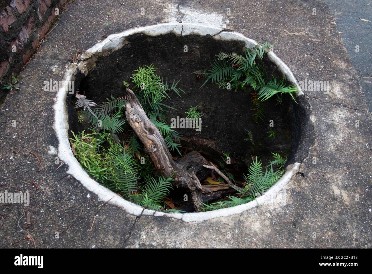 HONG KONG,HONG KONG SAR,CHINA: MAY 14th 2020. Wartime Communal Kitchens ...