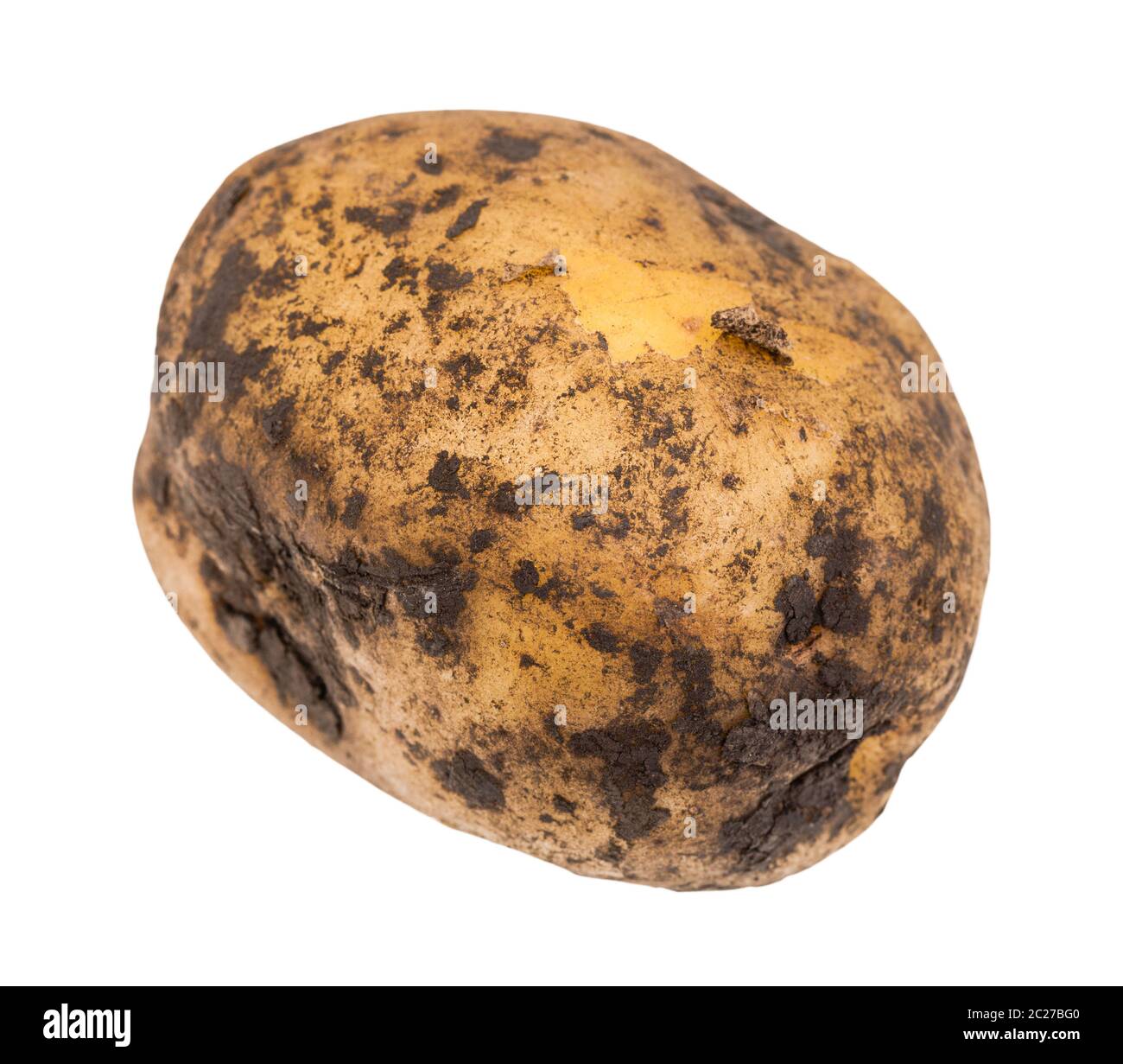 organic yellow potato tuber isolated on white background Stock Photo ...