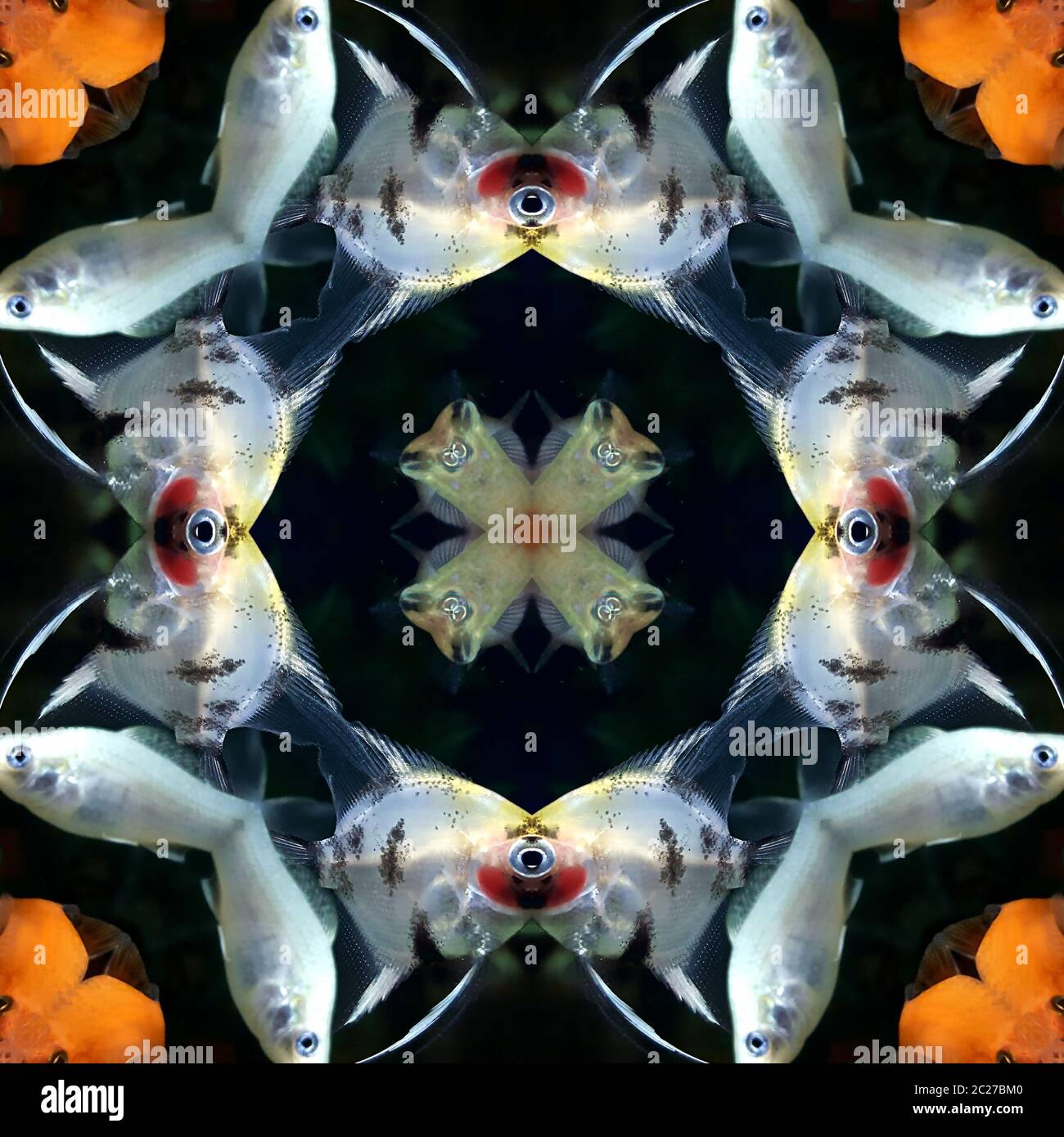 Seamless symmetrical pattern abstract fish in the sea texture Stock ...