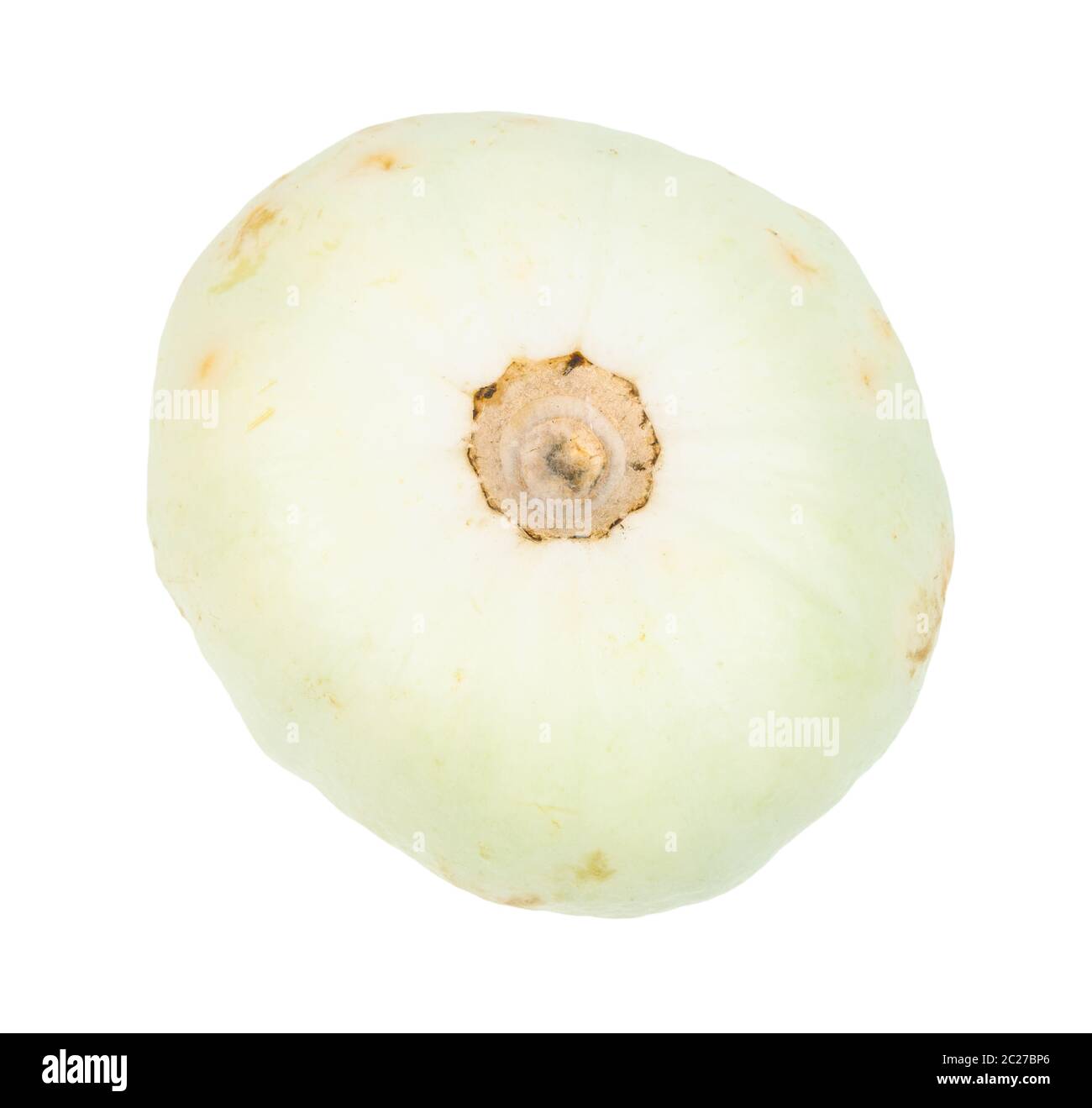 Peter pan patty pan squash hi-res stock photography and images - Alamy