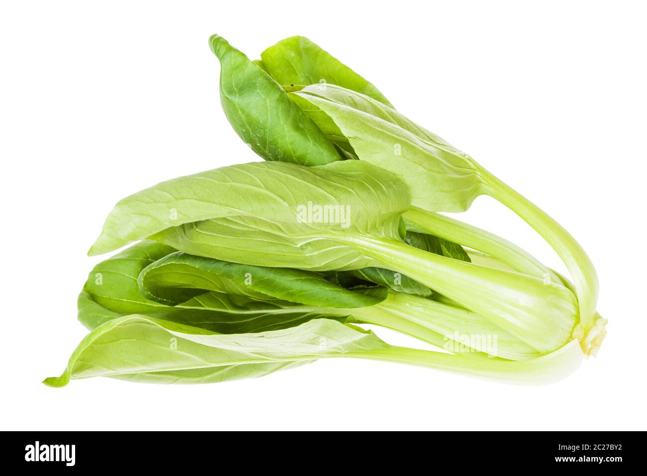 fresh bok choy (pak choi) Chinese cabbage isolated on white background ...