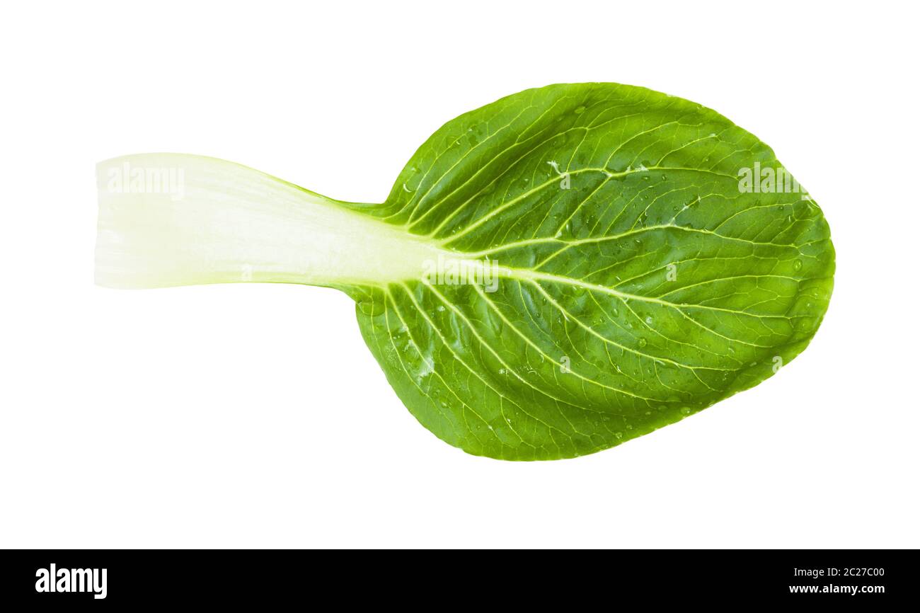 green leaf of bok choy ( pak choi) Chinese cabbage isolated on white ...