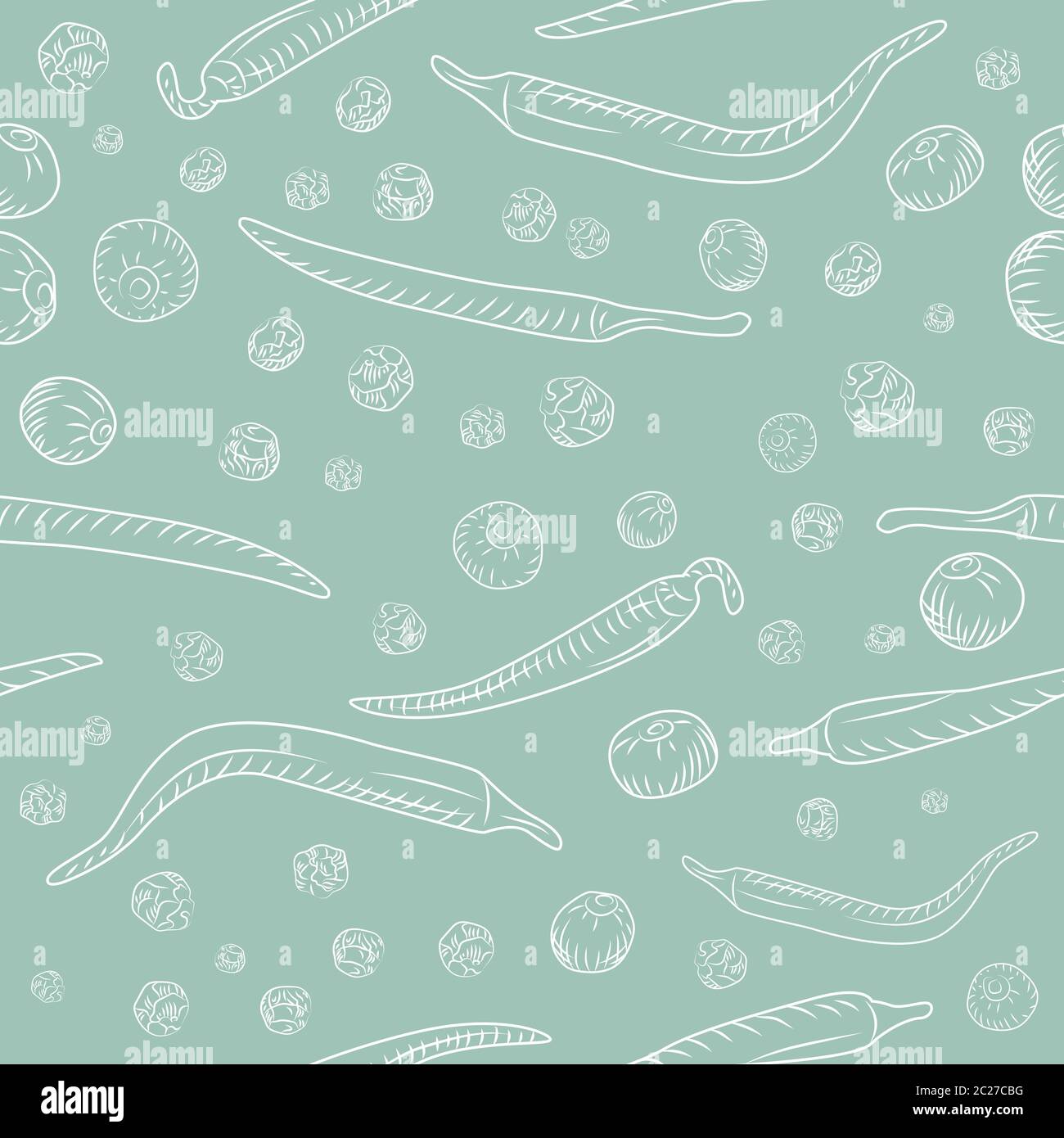 Chilli pepper and black pepper seamless pattern. Engraving vintage ...