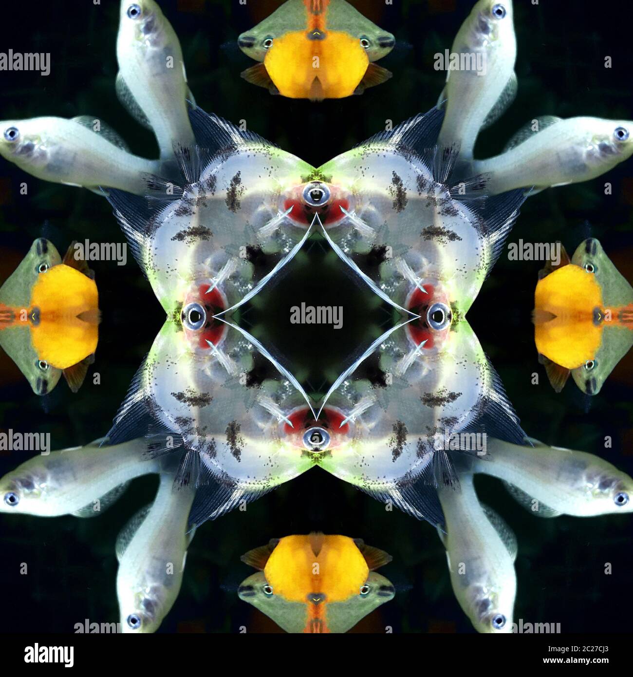 Seamless symmetrical pattern abstract fishes in the ocean texture Stock ...