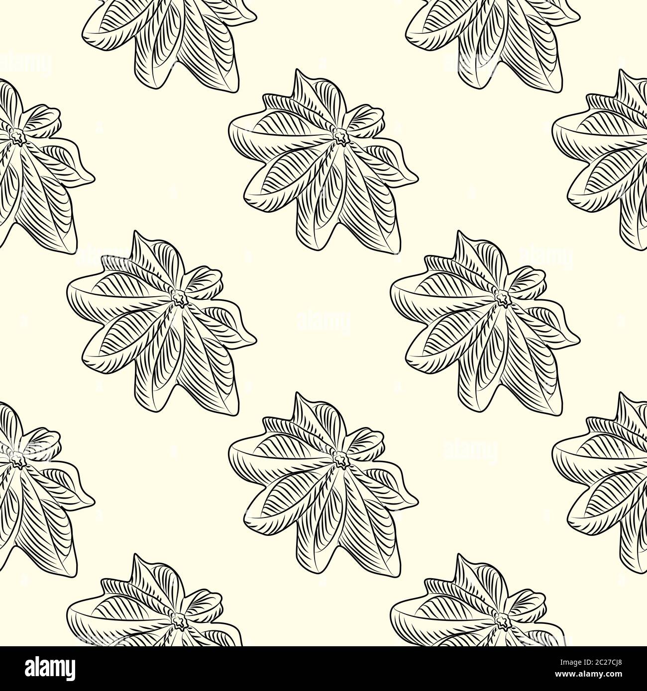 Hand drawn badian seamless pattern . Dry anise backdrop. Engraving vintage style. Vector ...