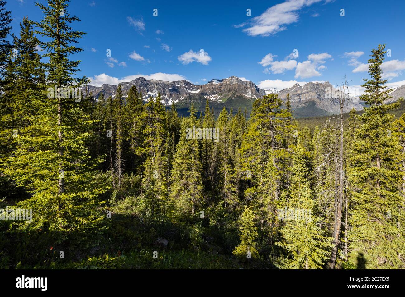 The Rocky Mountains of Banff National Park Canada Stock Photo - Alamy