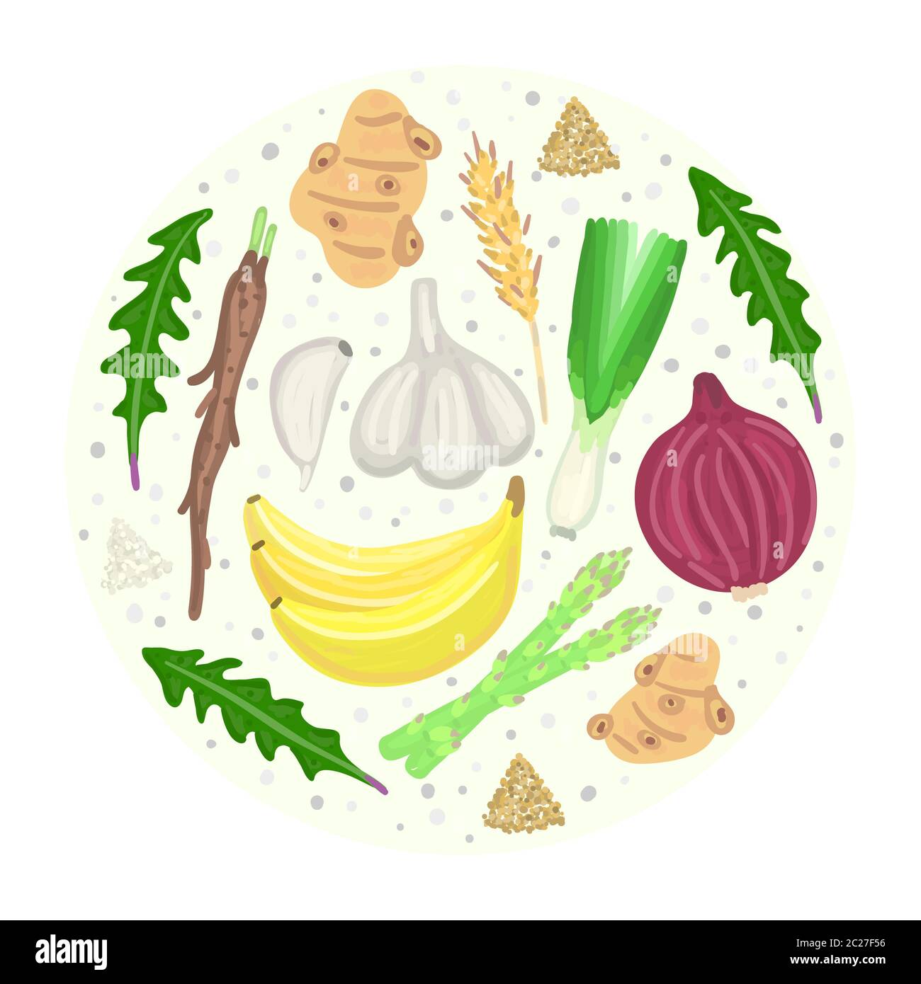 Prebiotic food. Nutrition. Nondigestible fibers. Gastrointestinal ...