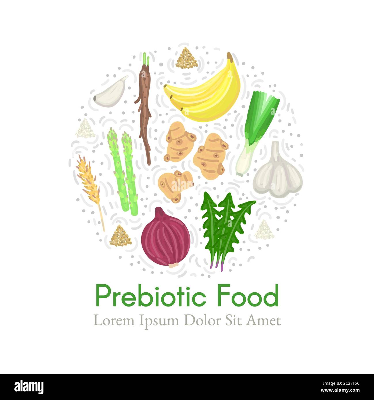 Prebiotic food. Nutrition. Nondigestible fibers. Gastrointestinal ...