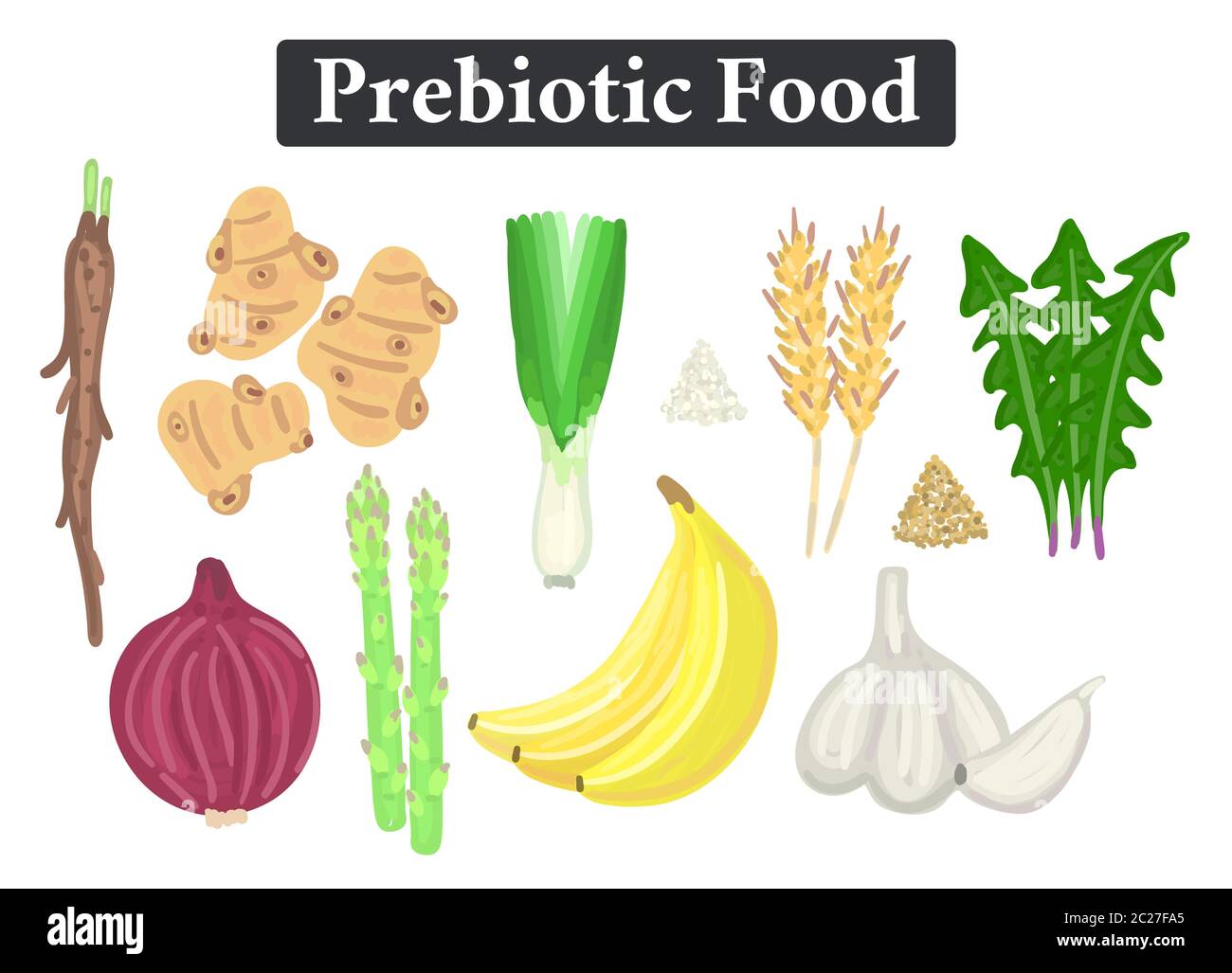 Set of prebiotic food. Nutrition. Nondigestible fibers. Healthy ...