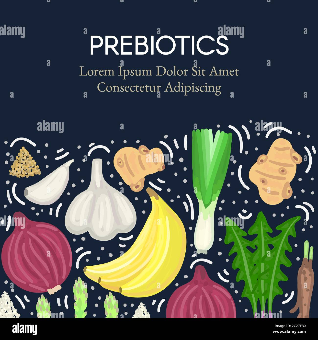 Prebiotic food. Nutrition. Nondigestible fibers. Gastrointestinal ...