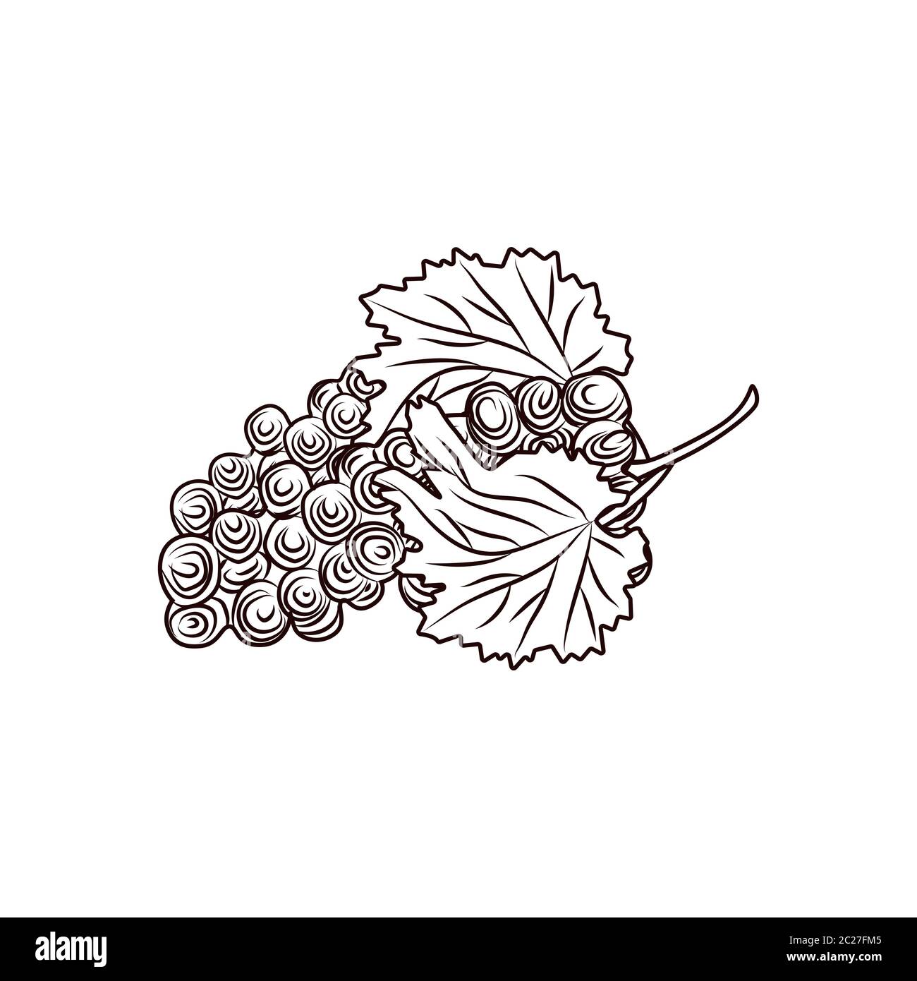 Hand drawn grapes. Bunch of grapes sketch isolated on white background ...