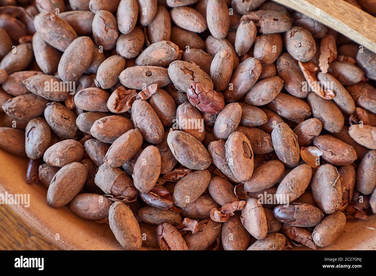 Cacao plantation worker hi-res stock photography and images - Alamy