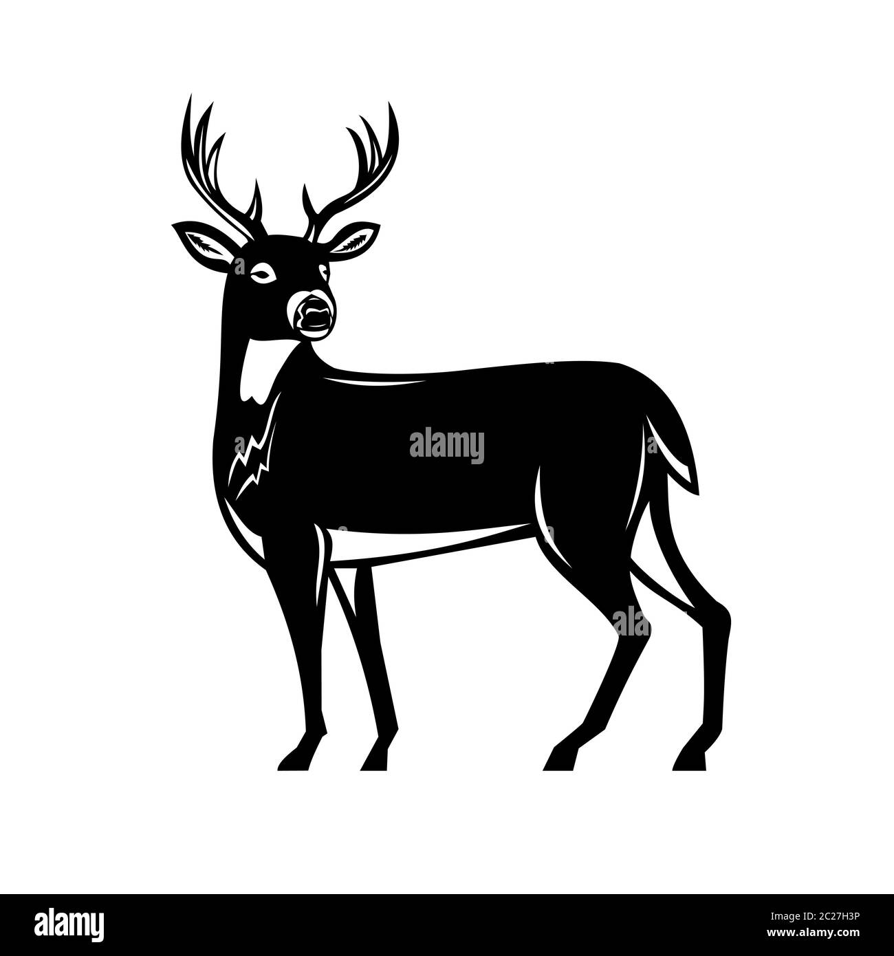 Retro woodcut style illustration of a white-tailed buck deer, whitetail ...