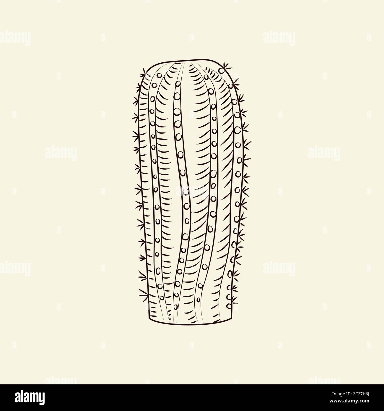 Hand drawn notocactus isolated on light background. Wild cacti sketch ...